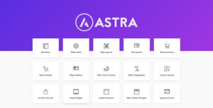Astra Pro Addon 4.13.3 - WordPress Theme for Any Website - WeaDown