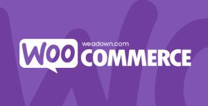 WooCommerce Conditional Shipping and Payments 2.0.1 - WeaDown