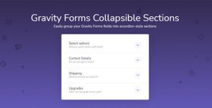 Gravity Forms Collapsible Sections 1.3.2 - WeaDown